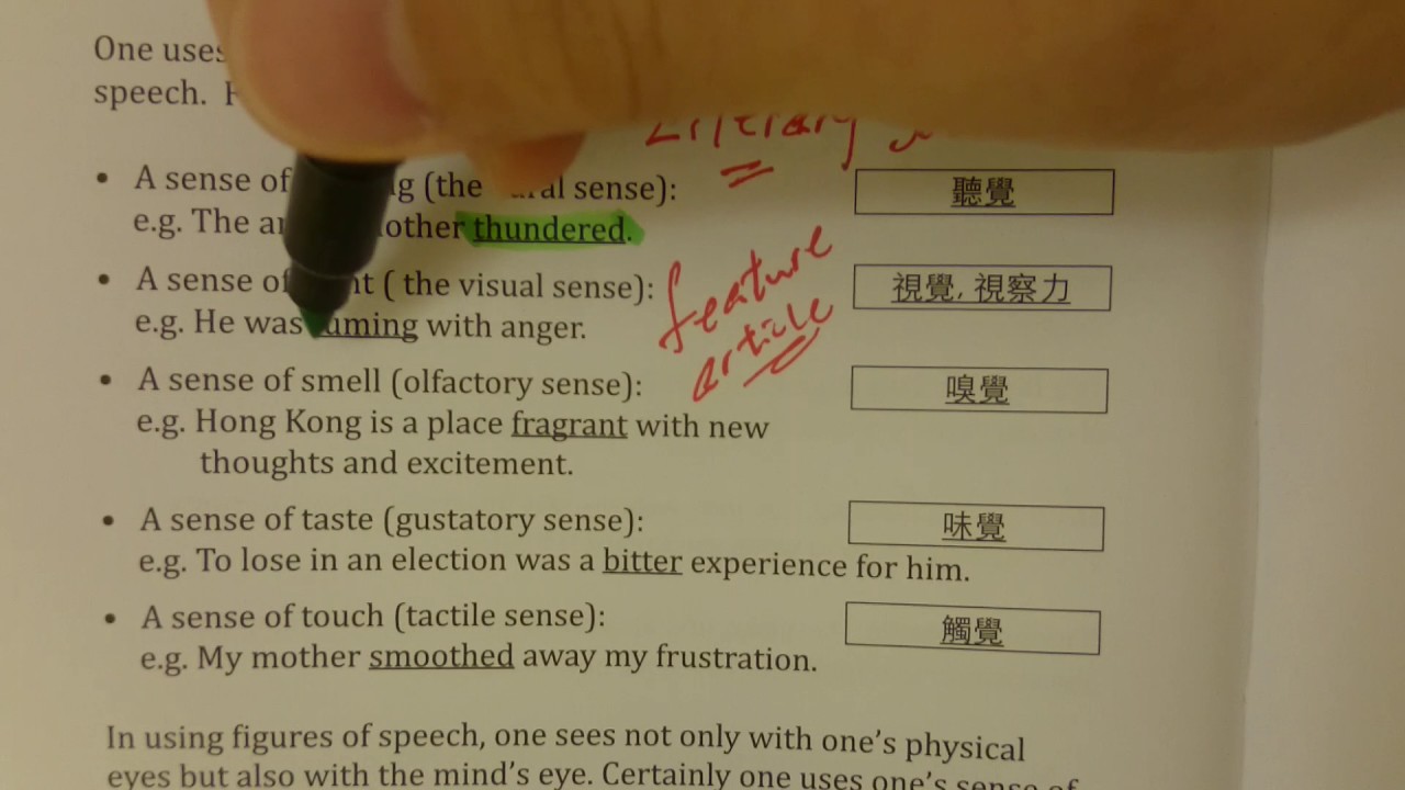 2017 DSE English Feature Articles - Literary Journalism - YouTube