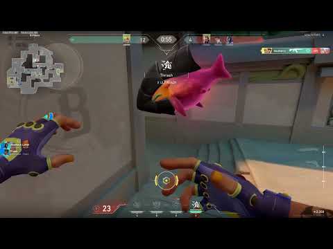2 bullet ace