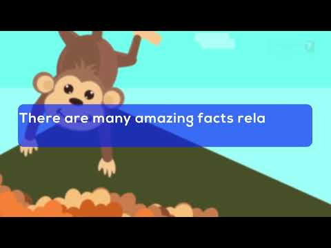 06 Audible and inaudible sounds - YouTube