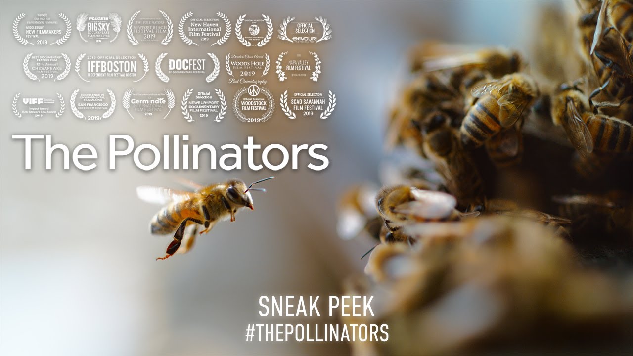 The Pollinators (2020) | Sneak Peek 1 - YouTube