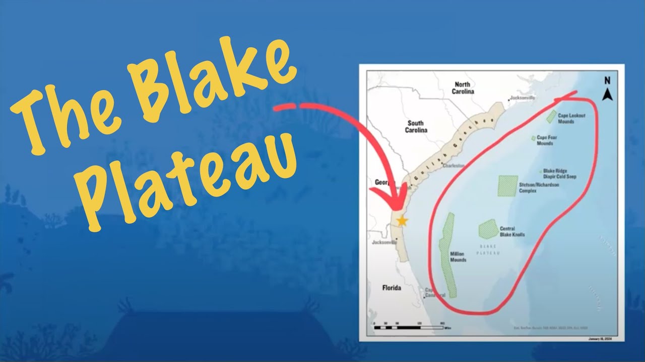 WHAT is the Blake Plateau and WHY does it matter? | Learning Session ...