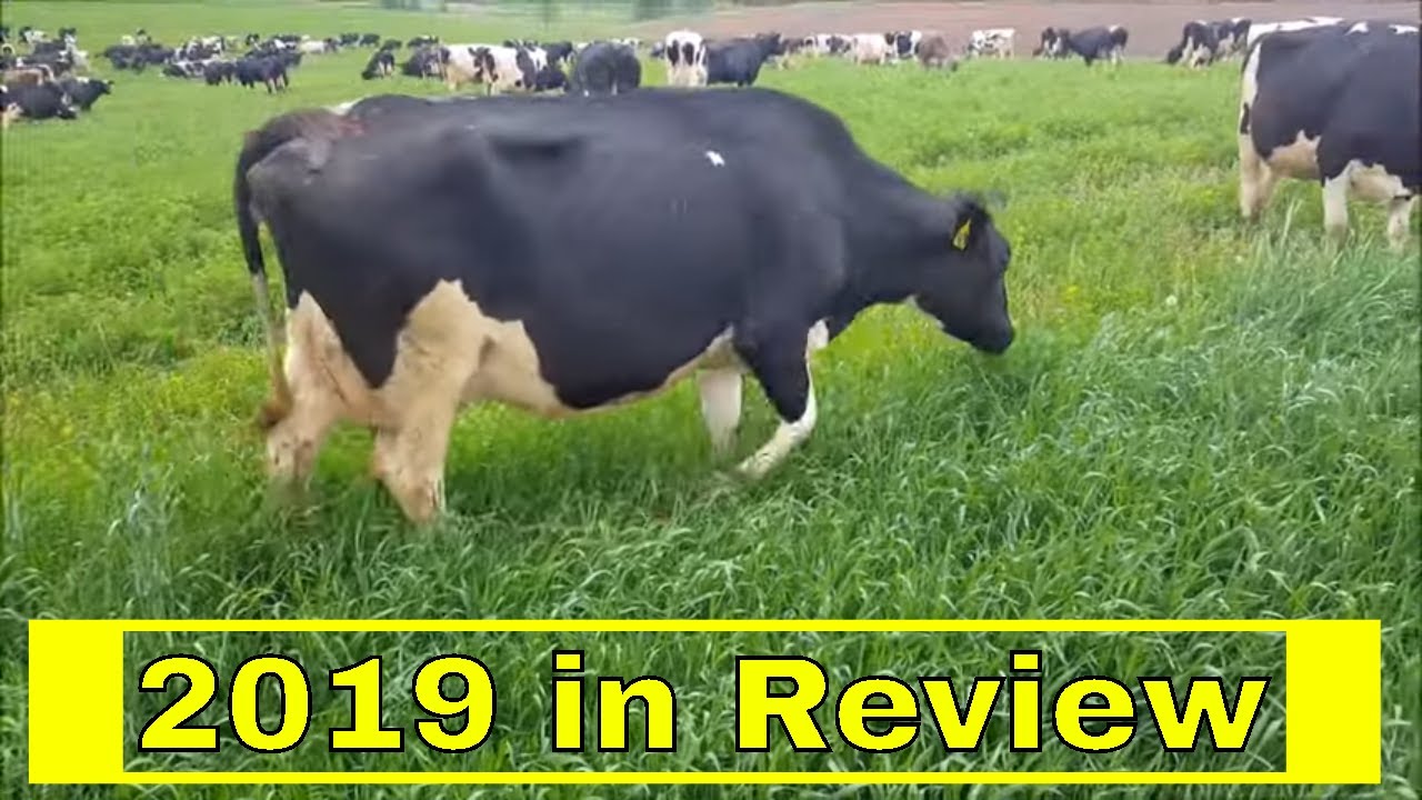 A Year on Our Family Farm - YouTube
