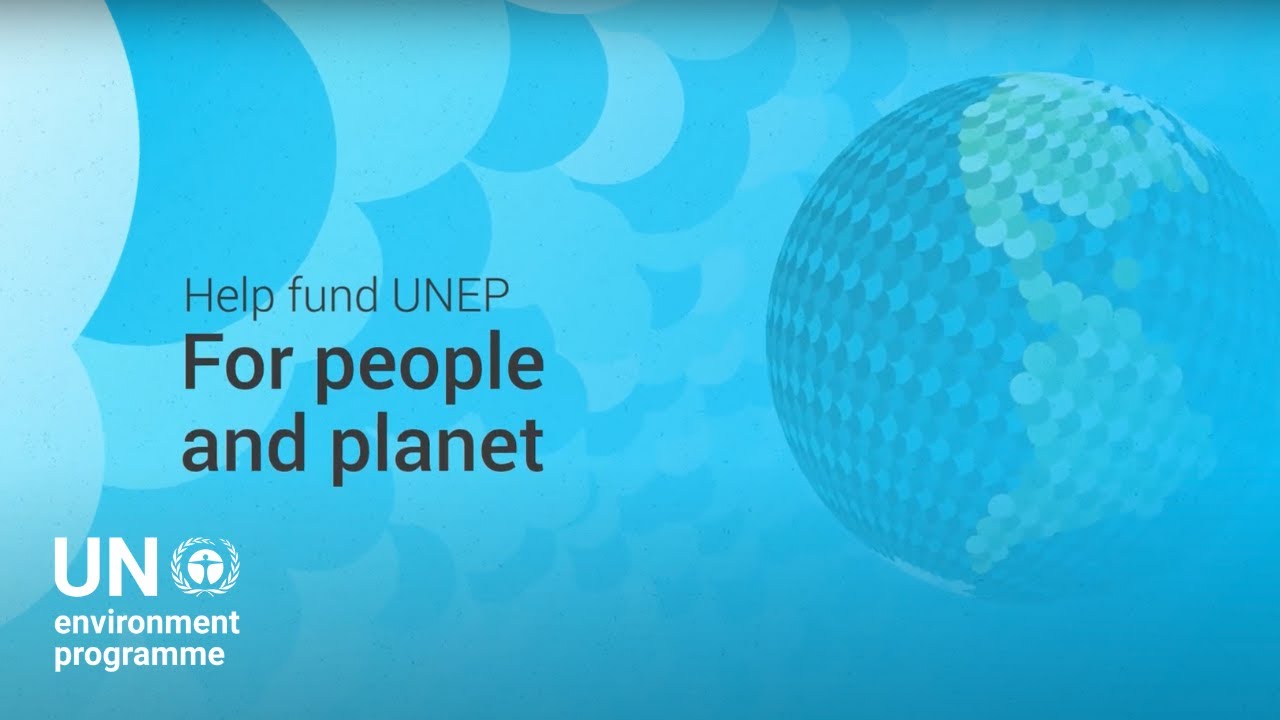 What Does Unep Mean
