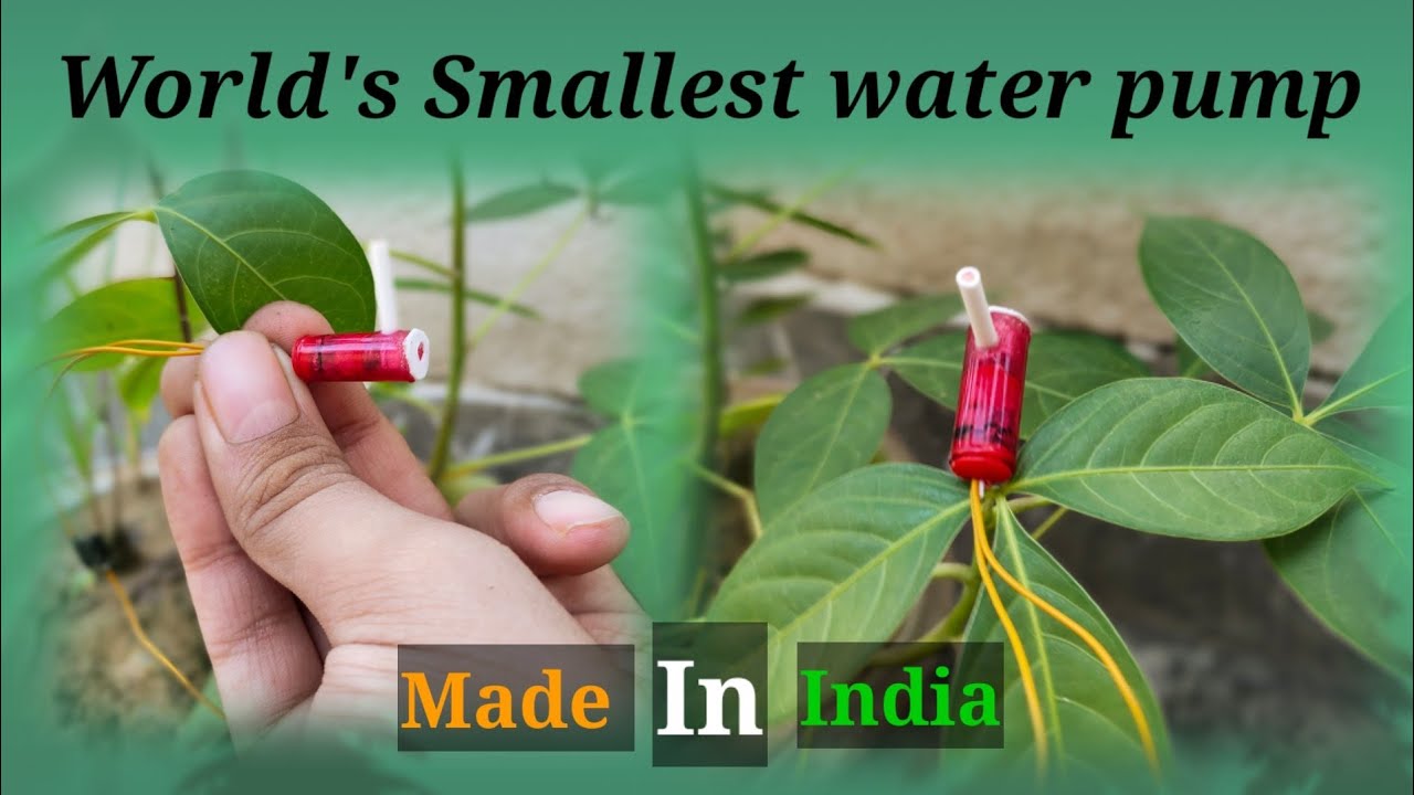 How to make World's smallest water pump | World's smallest pump demo ...