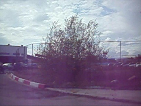 devrim erim-reallerin icinde (video klip)