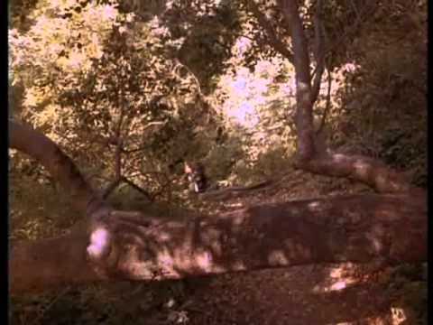 Class of 1999 II The Substitute - 5 - YouTube