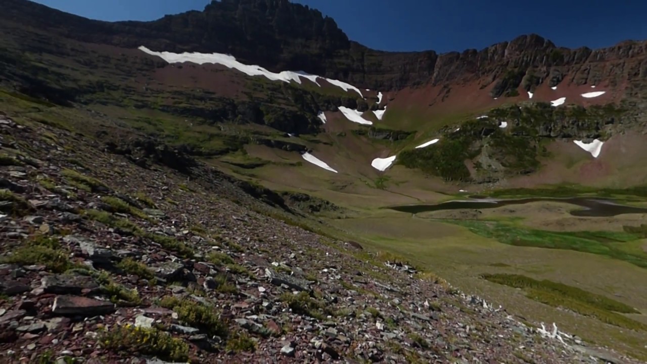 Two Grizzly Bears Near Red Gap Pass, Glacier Park - YouTube