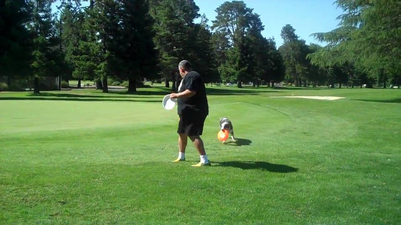 Steve Teer & the amazing Irish - YouTube