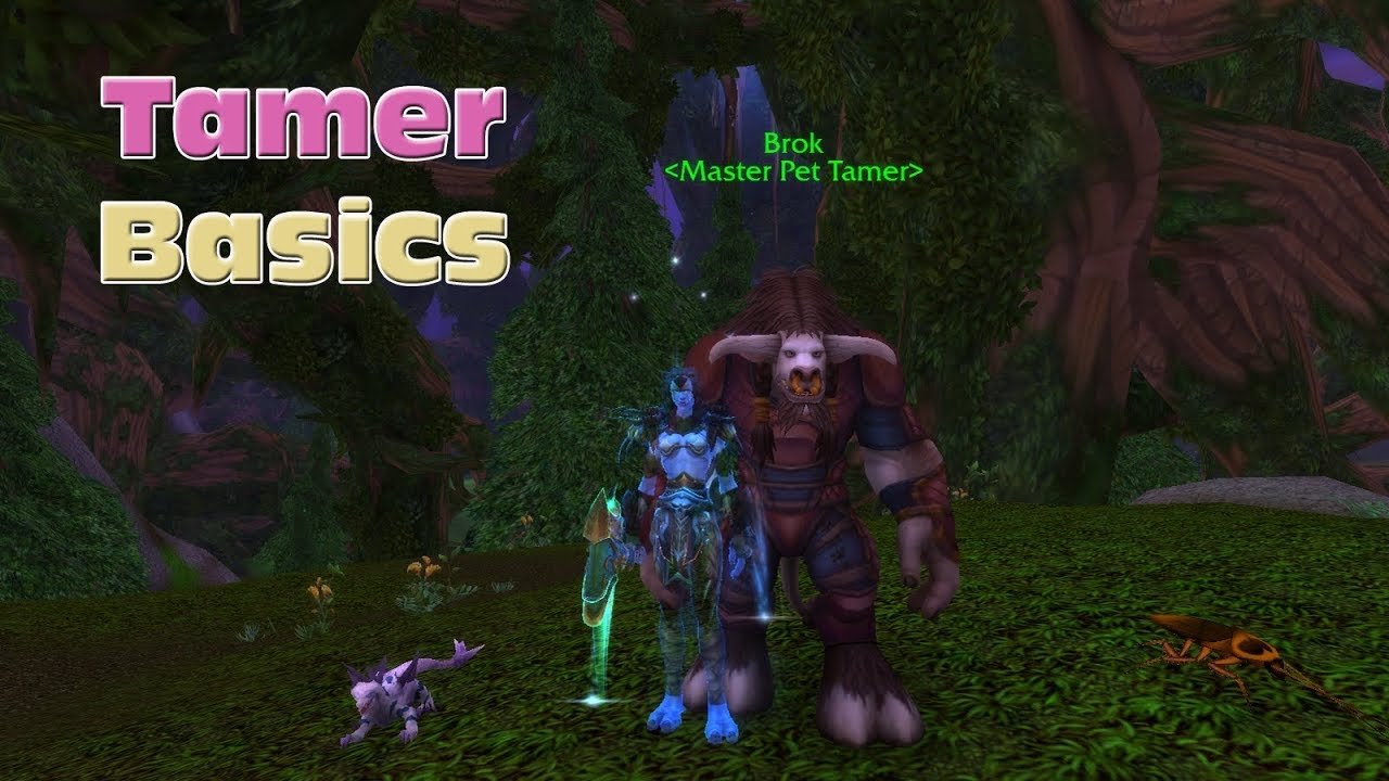 WoW Pet Battles - Tamer Basics - YouTube