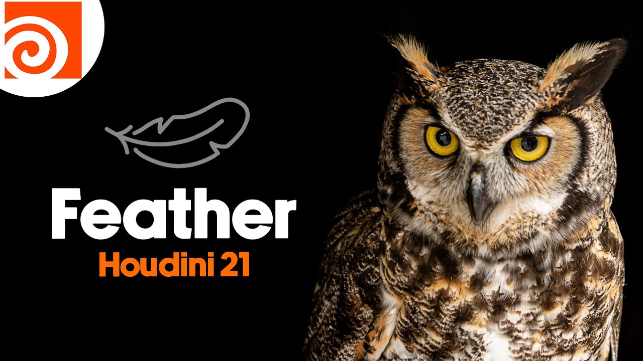 Feather Tutorial in Houdini 21 | Houdini Tutorial - YouTube