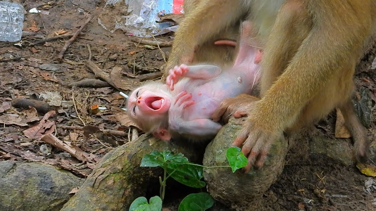 Lay down baby for sunbathing, sob for more milk, Flora know better to care baby - YouTube