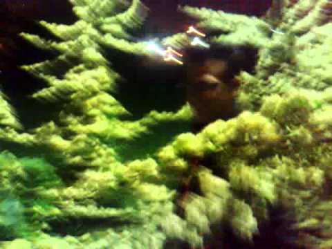 tarzanello tv live show - YouTube