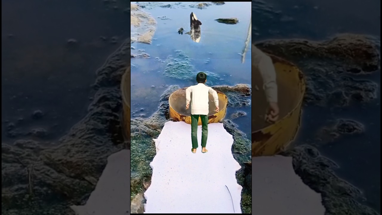 video graphy best editing fish jumping#best #photography#nature# ...