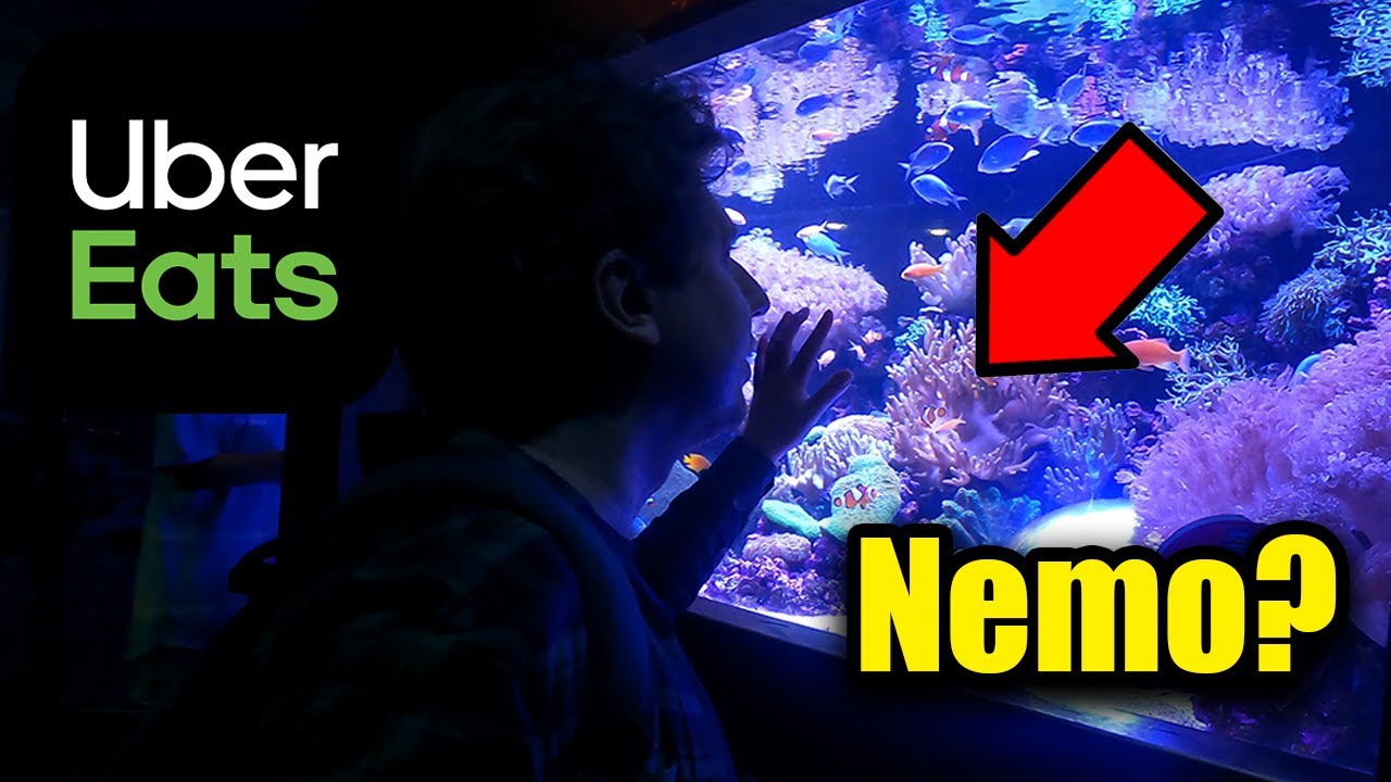 Uber Eats Driver Finding Nemo - $40+ Per Hour Earnings - YouTube