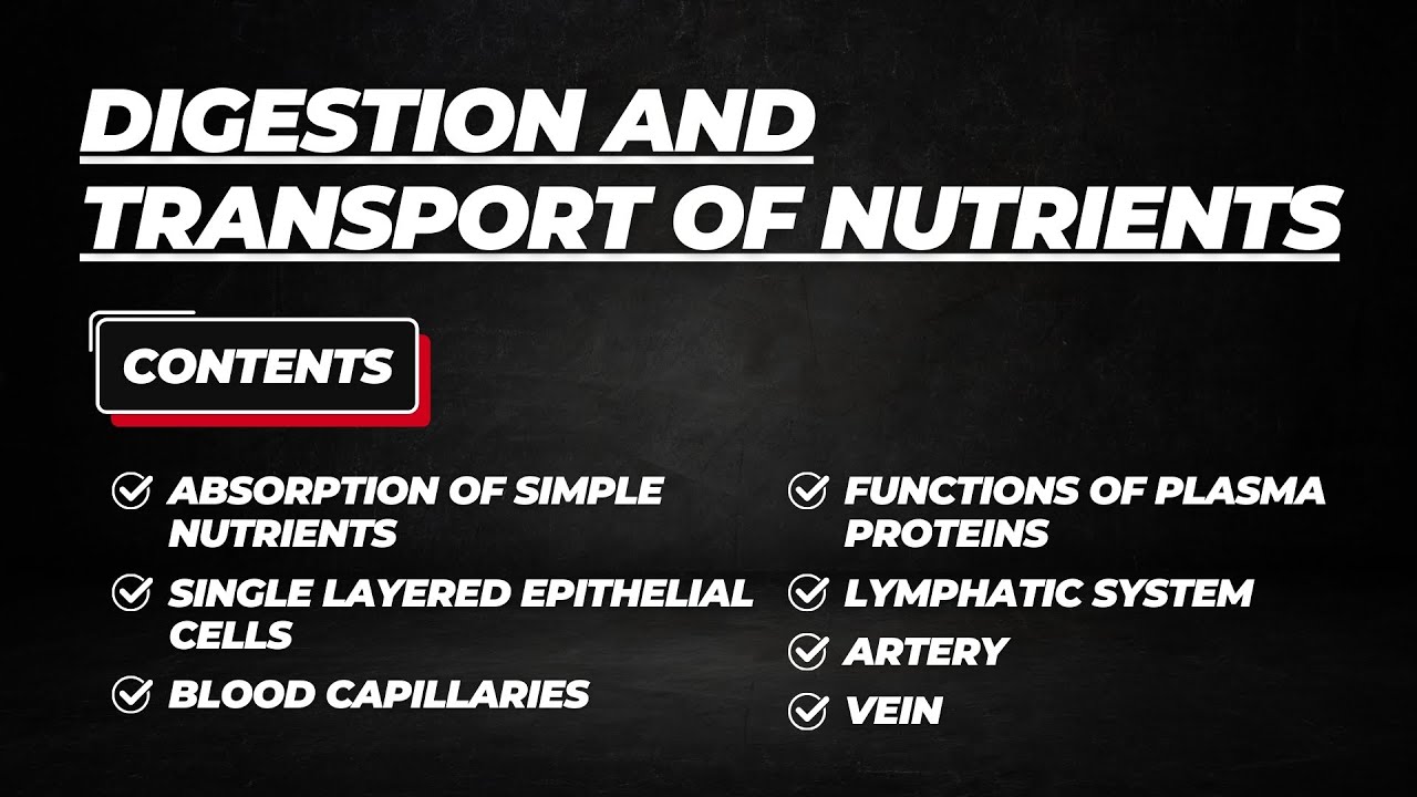 Digestion And Transport Of Nutrients - Absorption of Simple Nutrients ...