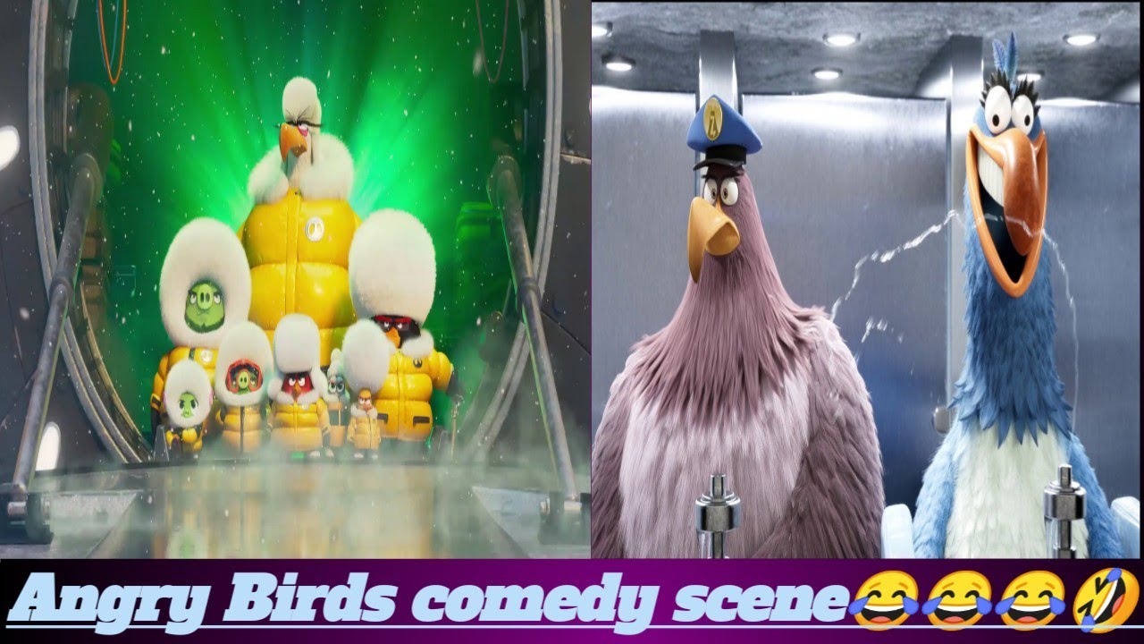 Angry Birds comedy scene - YouTube