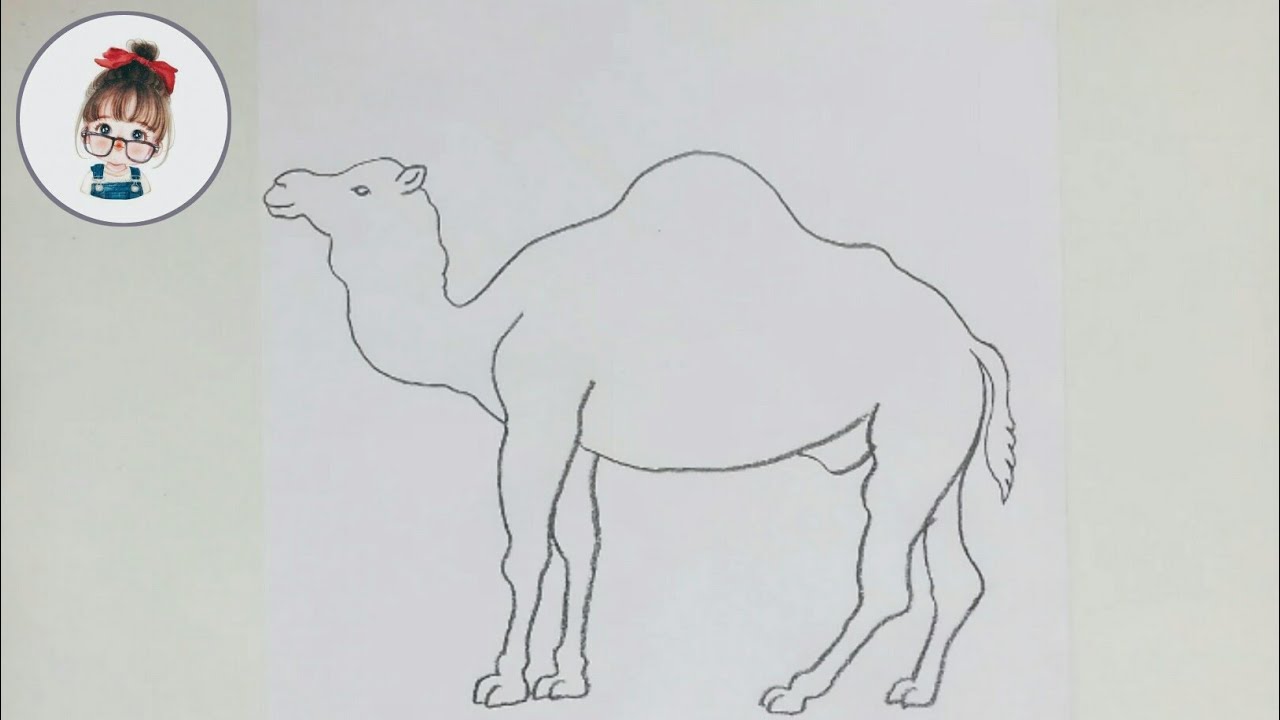 how to draw camel drawing easy step by step | easy camel drawing ...