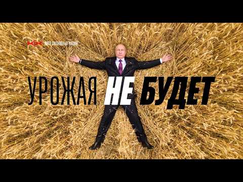 Цены осенью взлетят до небес! Урожай-2026 собрать невозможно