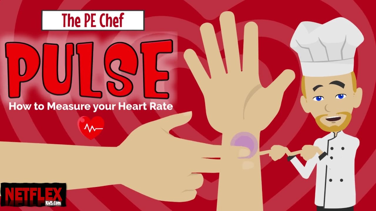 PE Chef: Pulse- How to Measure your Heart Rate (video lesson with ...