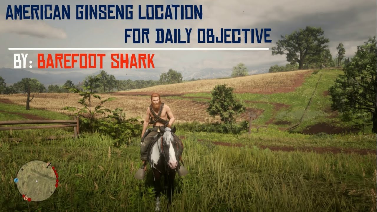 American Ginseng Location for Daily Challenge RDR2 Online - YouTube