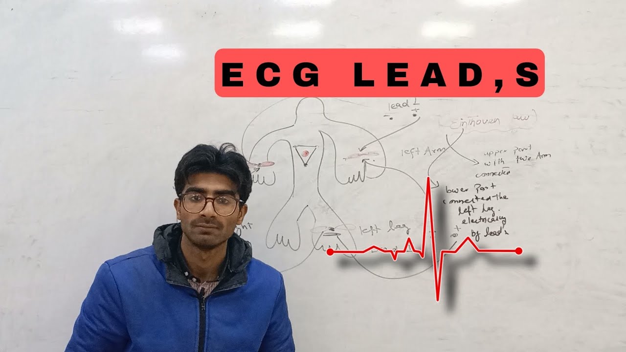 ECG LEAD,S | electrocardiographic lead,s used for recording ECG..an ...