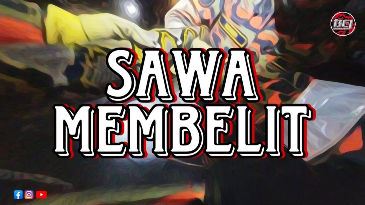 Sawa Membelit | BCJ29 • The Ultimate Guide to Fire Fighters - YouTube