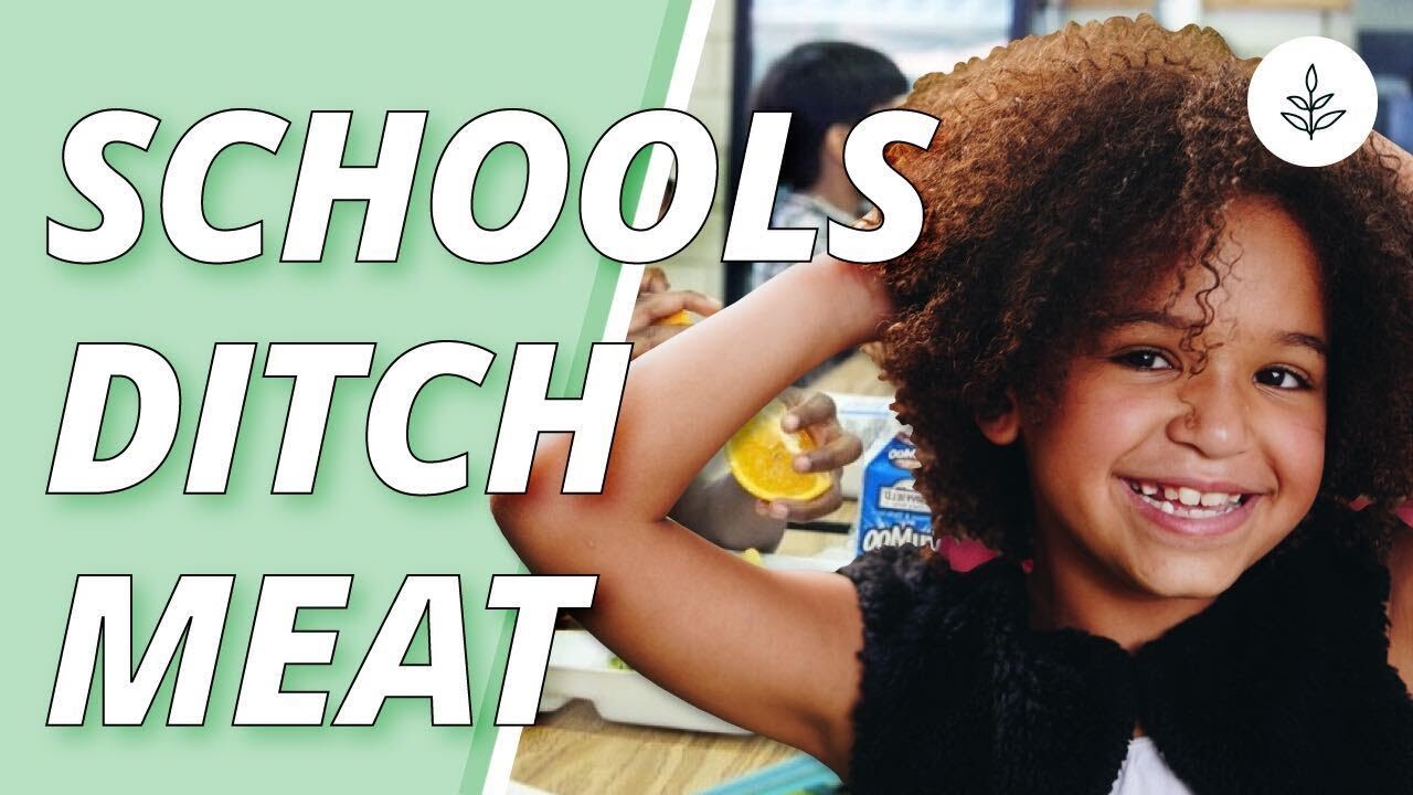 Why These 10 SCHOOLS Are DITCHING MEAT | LIVEKINDLY - YouTube