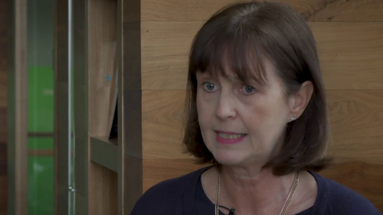 Funding announcement for School of Medicine researchers: Professor ...