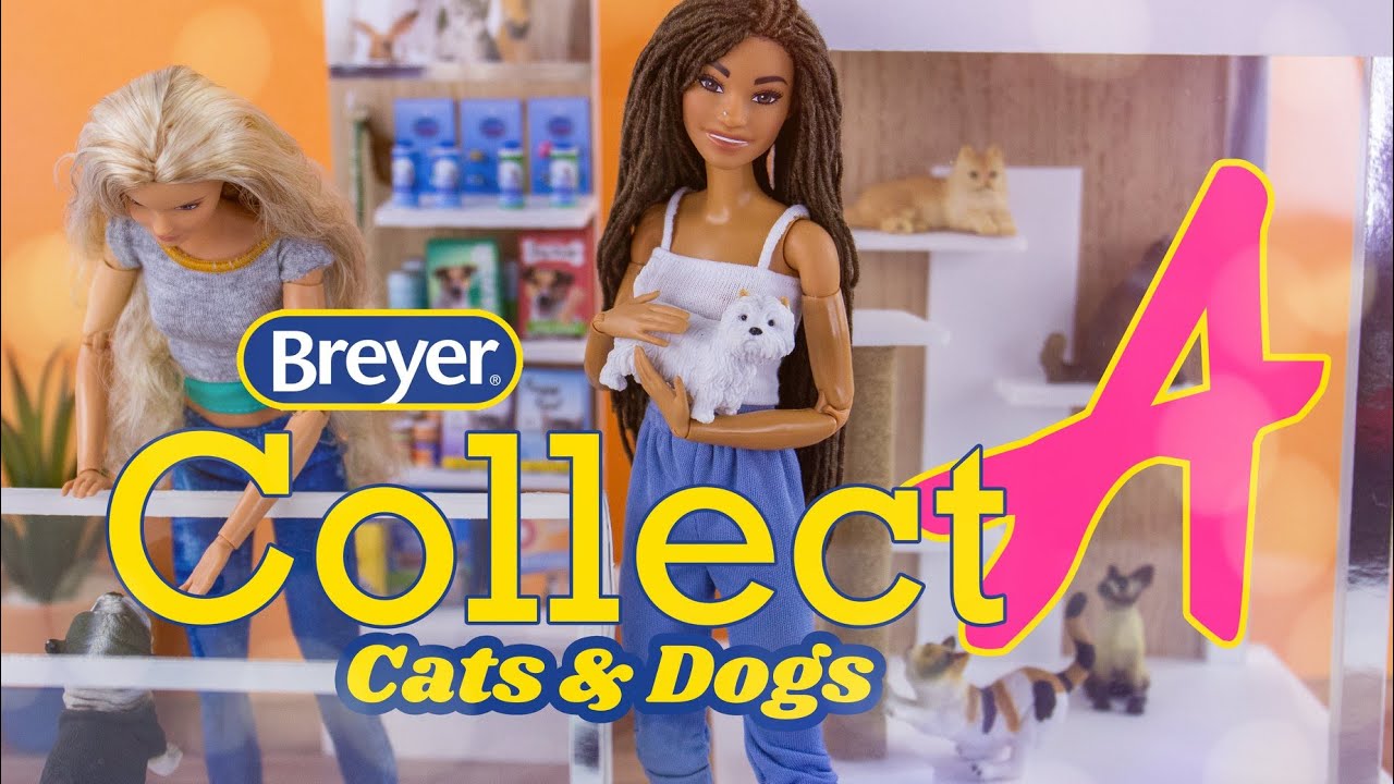 Breyer Collect A | Cats and Dogs | PLUS DIY Animal Shelter - YouTube