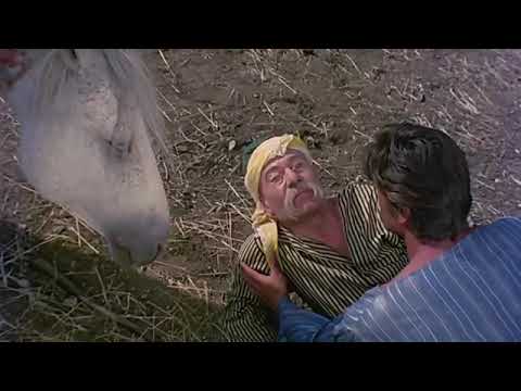 Köroğlunun nasihatı