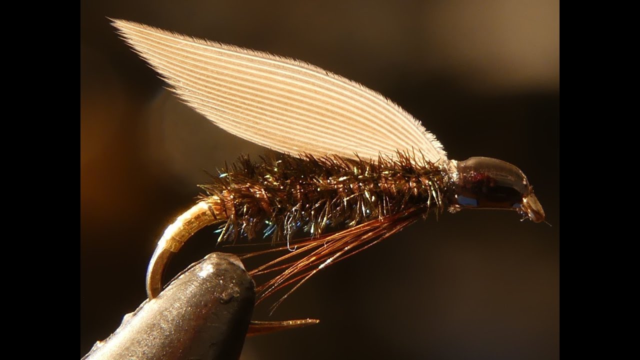 Vintage Fly Tying - Leadwing Coachman - YouTube
