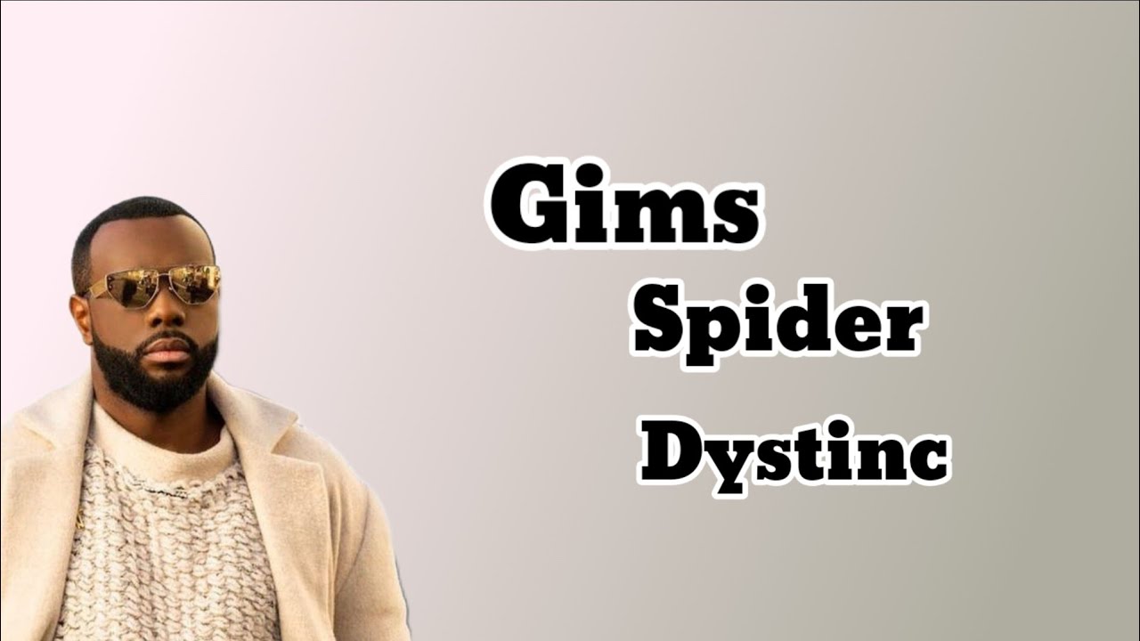 Gims - Spider feat Dystinc (paroles) - YouTube