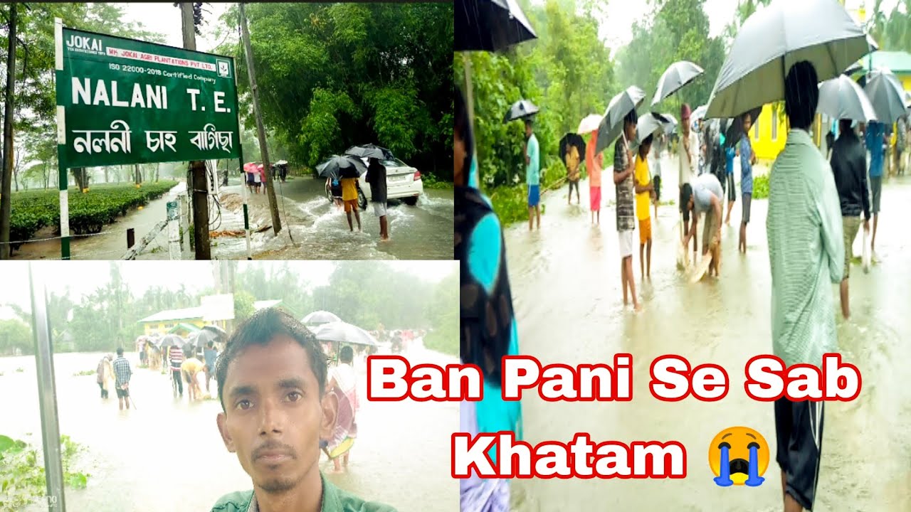 Ban Pani Se Sab Khatam 😭 || Nandi Family ||#guijan #nalaniholagaon ...