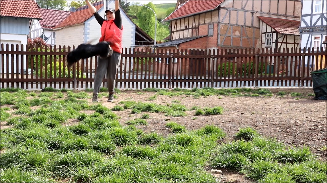 Lockeres Training Crow - YouTube