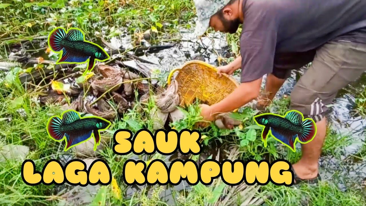 #EP995 Ikan Lompat Masuk dalam Tapak Tangan - cari ikan laga kampung ...