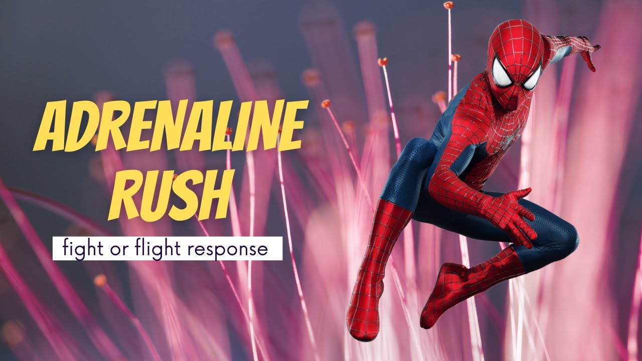 Adrenaline rush: Fight or flight response - YouTube