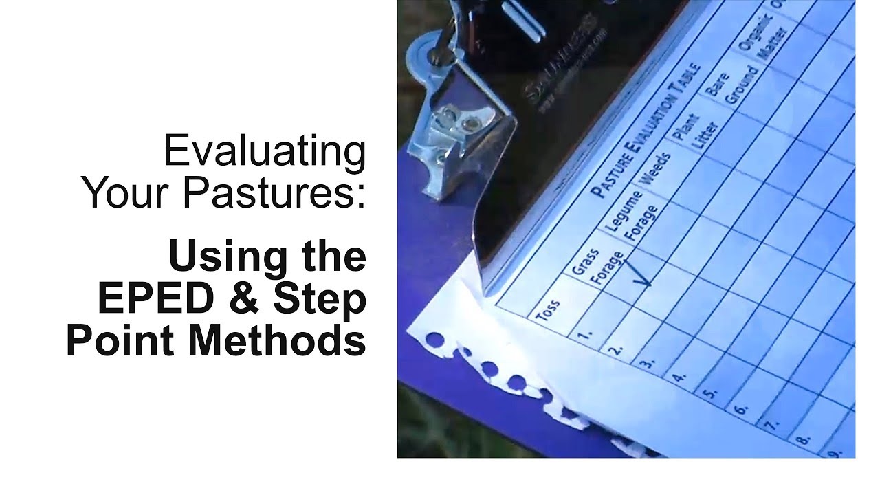 Horse Pasture Evaluation: Using the EPED & Step Point Methods - YouTube