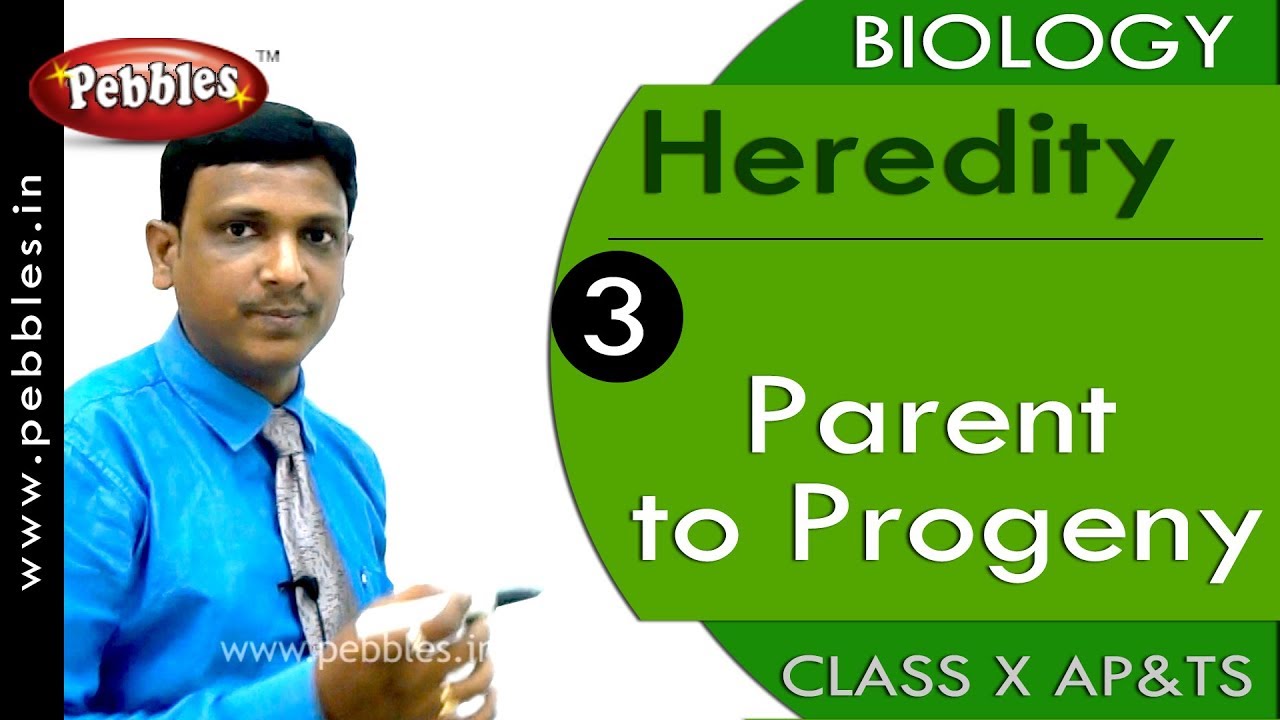 Parent to Progeny : Heredity | Biology | Science | Class 10 - YouTube