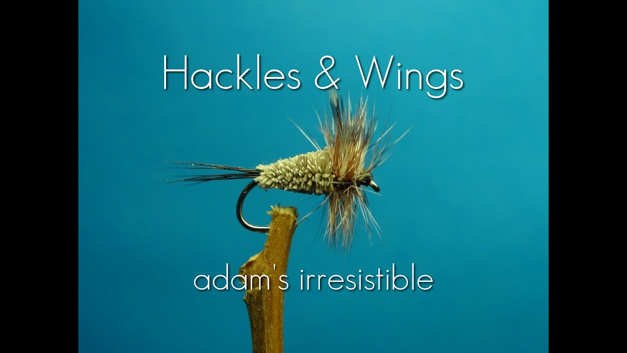 Fly Tying Adam's Irresistible - YouTube