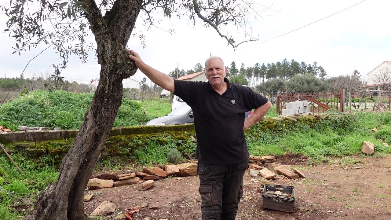 108. STONE WALLING, WATER ISSUES AND A CAKE RECIPE - YouTube