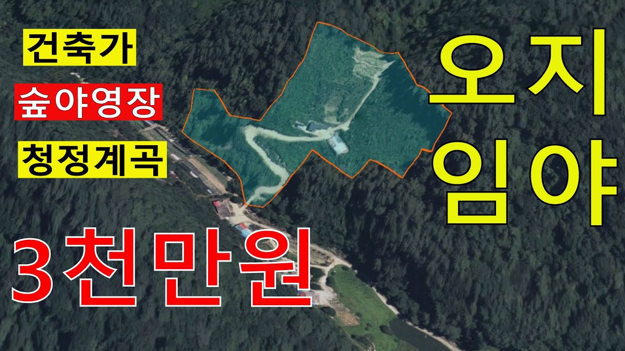 3천만원 강원도 싼임야 청정계곡 생산관리 건축가 자연인 전원생활 숲야영장캠핑고기집캠핑교회힐링숲6차산업 숲팬션 약용재배 방목 땅과함께새희망을경매임야 공매임야 나도