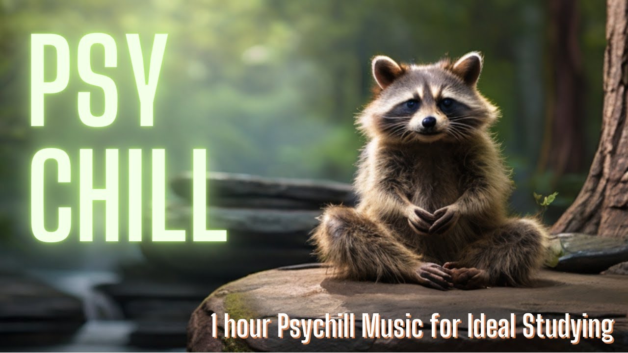 1 hour Psychill Music for Ideal Chilling - YouTube