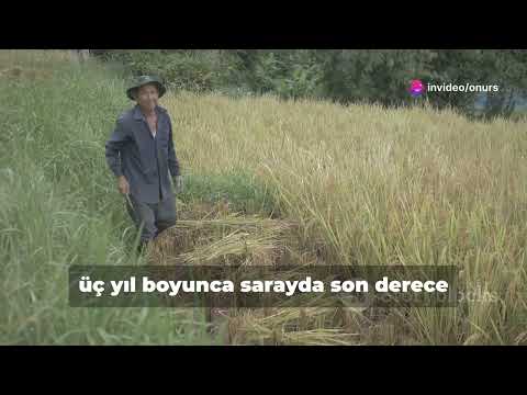 İyiliksever Japon İmparatoru Nintoku'nun