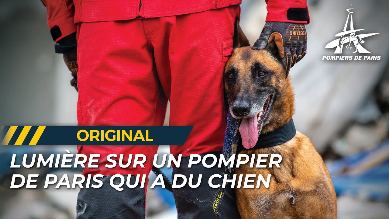 LUMIÈRE SUR UN POMPIER DE PARIS QUI A DU CHIEN - YouTube