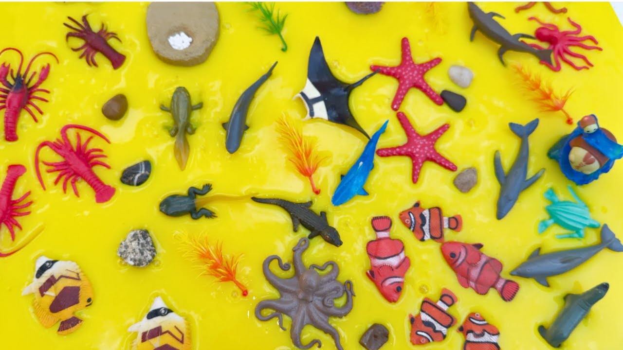 SEA ANIMALS COLLECTION | Ocean Toys In Slime! Learn Animal Names - YouTube