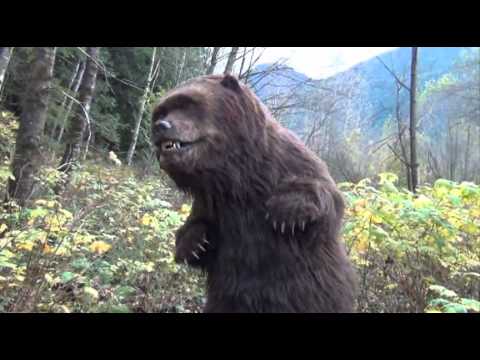 Animatronic Bear Suit by SFX Studio Inc. - YouTube