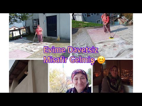 KÖYDEN ZONGULDAK'A DÖNÜŞ🙂 HALILARIMI YIKADIM✅ DAVETSİZ MİSAFİR❓GÜNLÜK VLOG🆕