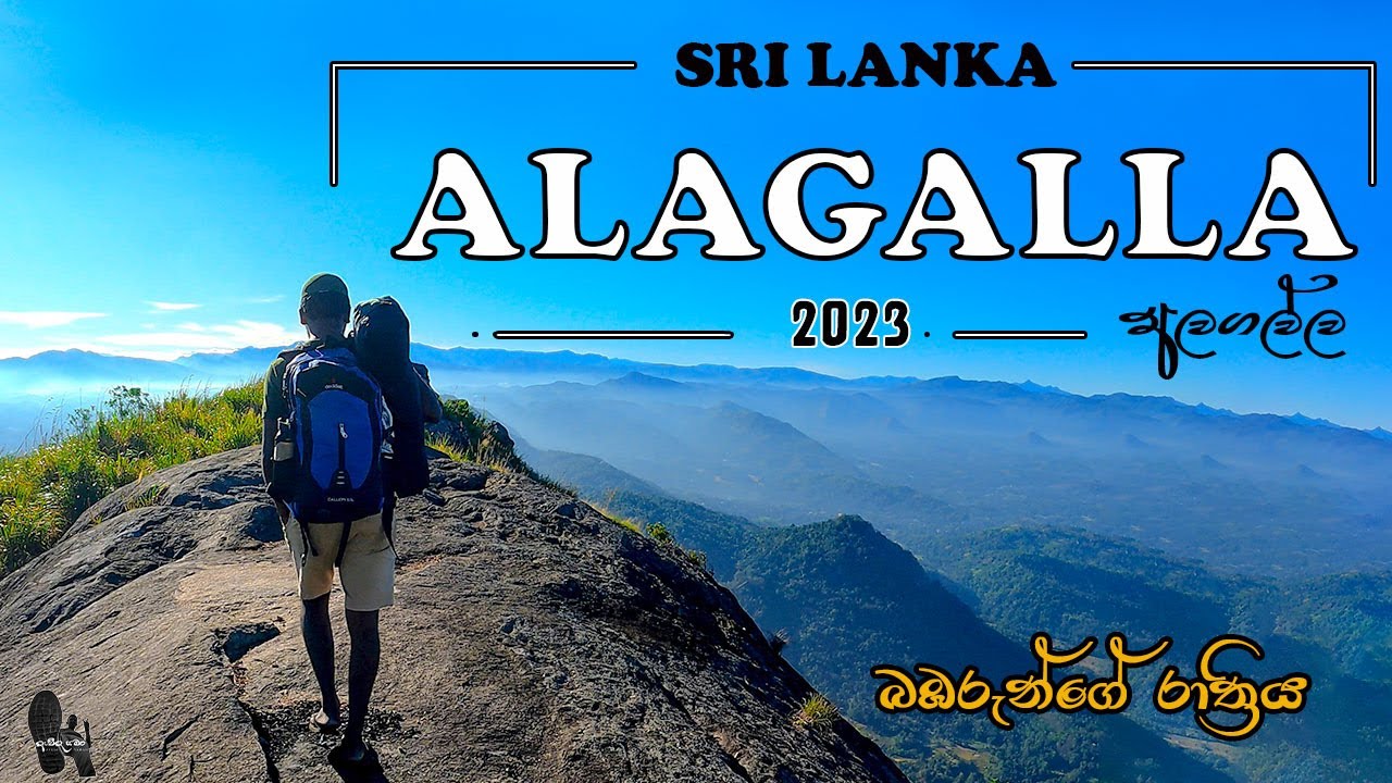 බඹරුන්ගේ රාත්‍රිය | 2023 | Alagalla camping with wasp | adventure hike ...