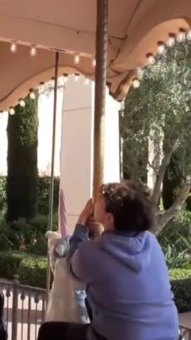 This Charming Carousel is an oldie but a goodie | Carousel at Irvine ...