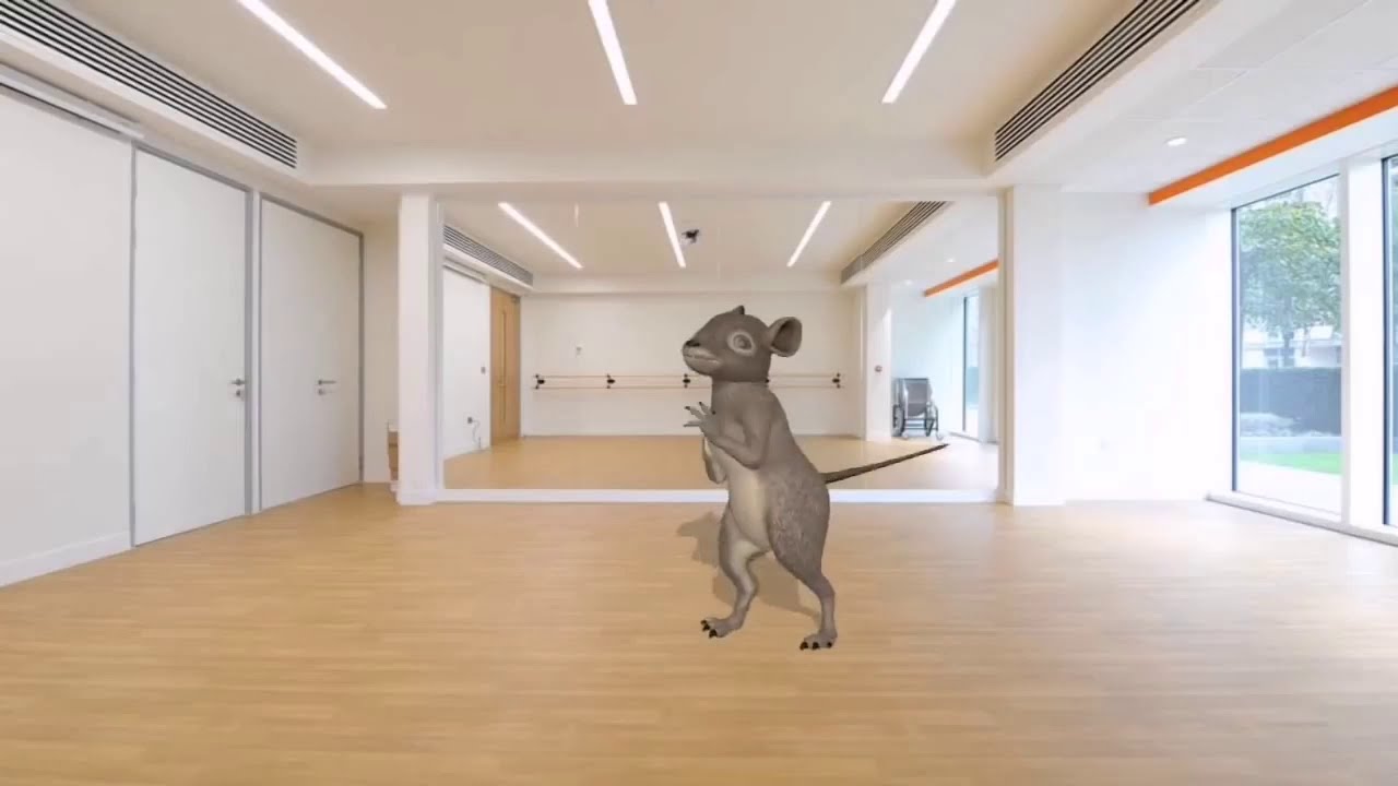 Funny Rat 🐀 Dance • Rat Animation | Funny Rat Dance 2021 - YouTube